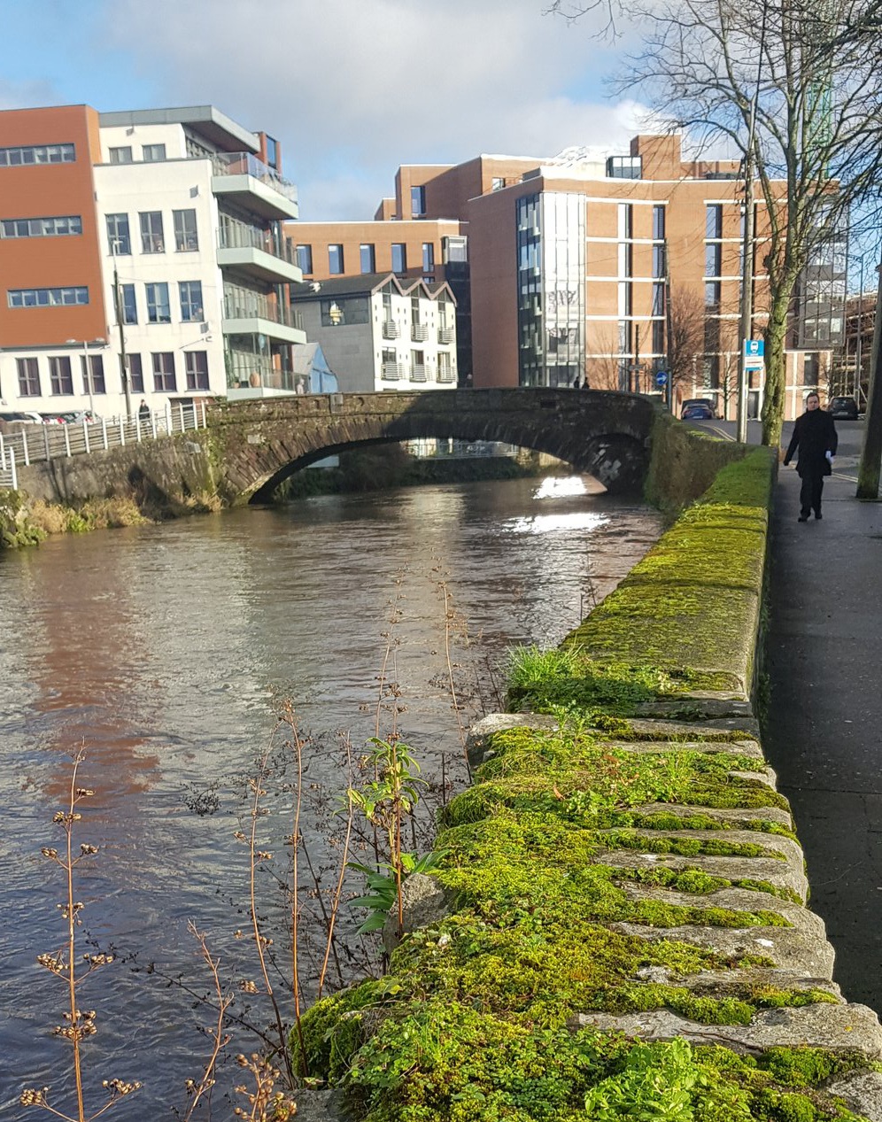 The Curvature of Cork – Paper Never Refused Ink!